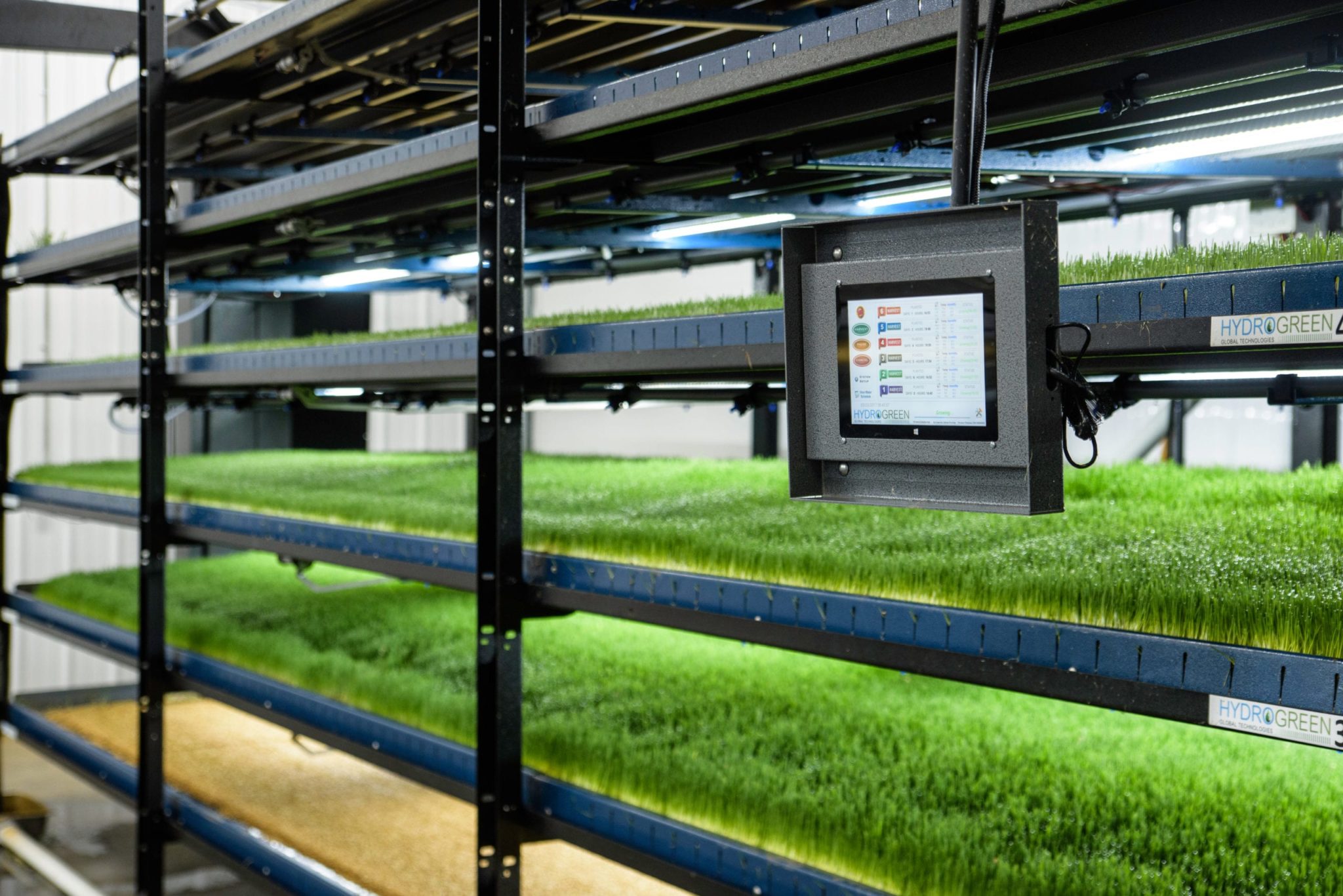 CubicFarms Wins Dairy Farmers Innovation Award - Techcouver.com