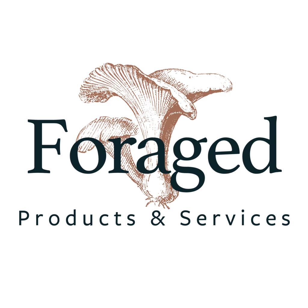 SOTW 017: Foraged - Techcouver.com