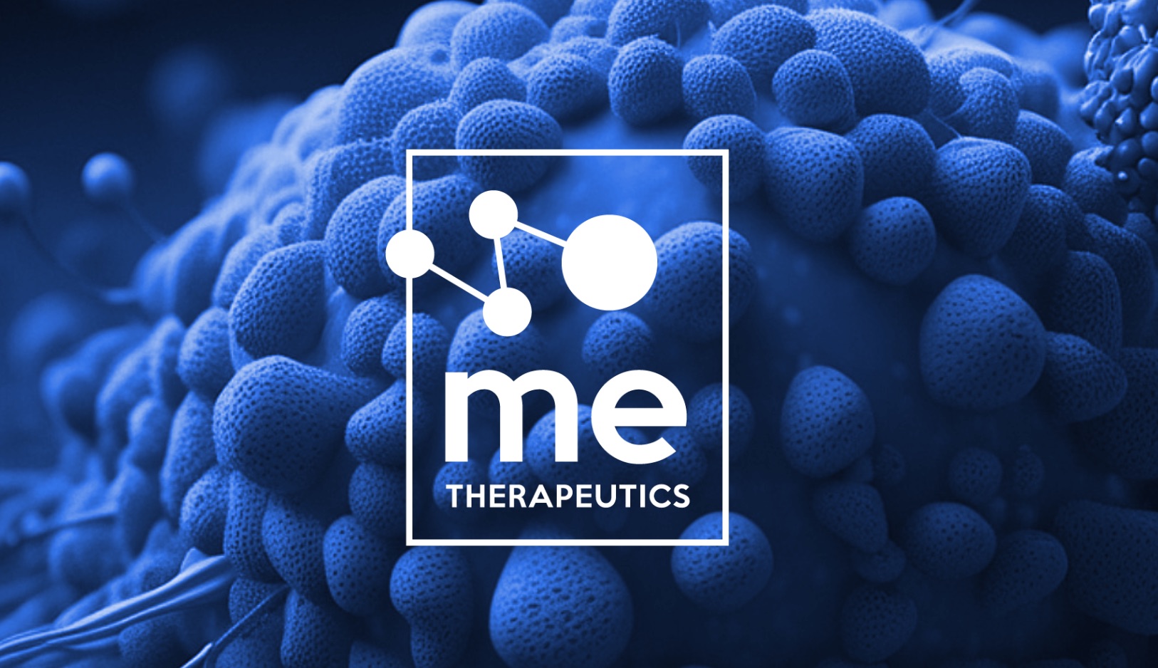 ME Therapeutics Secures Investment to Advance R&D for Biotech ...